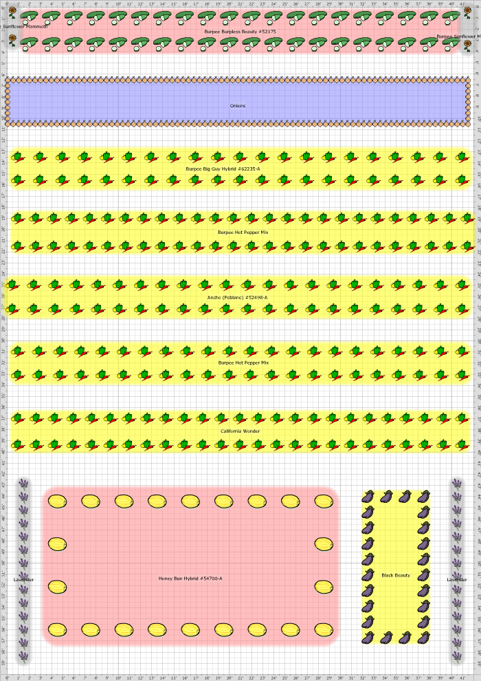 Garden Plan - 2012: Jubilee Garden - Luke (SE)