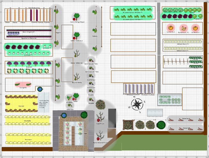 Garden Plan - 2020: Theo's Moestuin