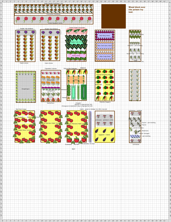Garden Plan - 2020: Pitt