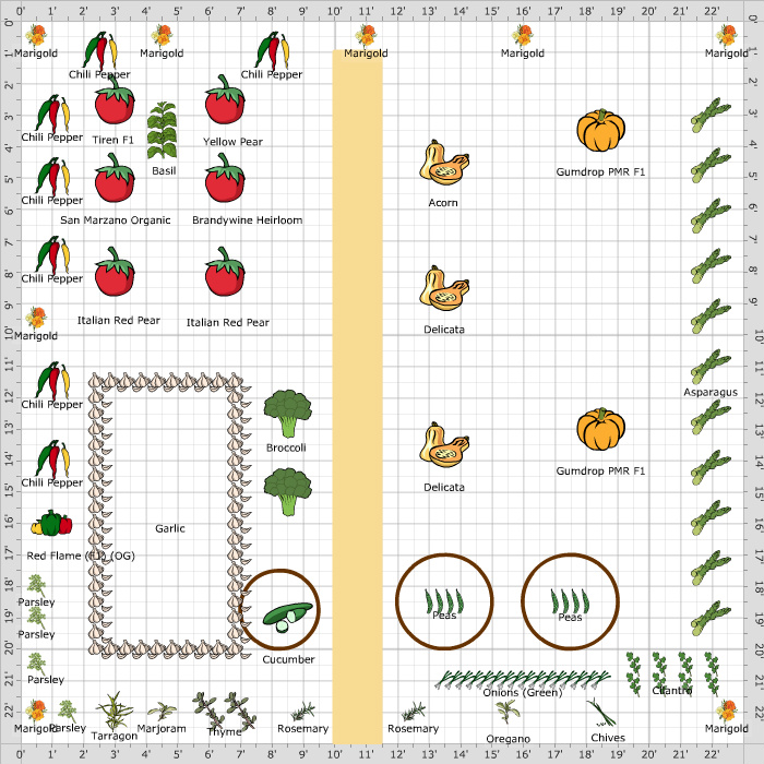 Garden Plan - 2020: First draft