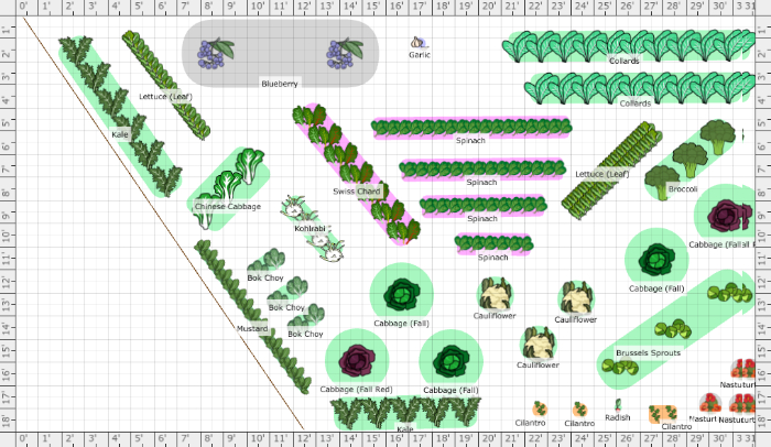 Garden Plan - 2021: New GEL Garden