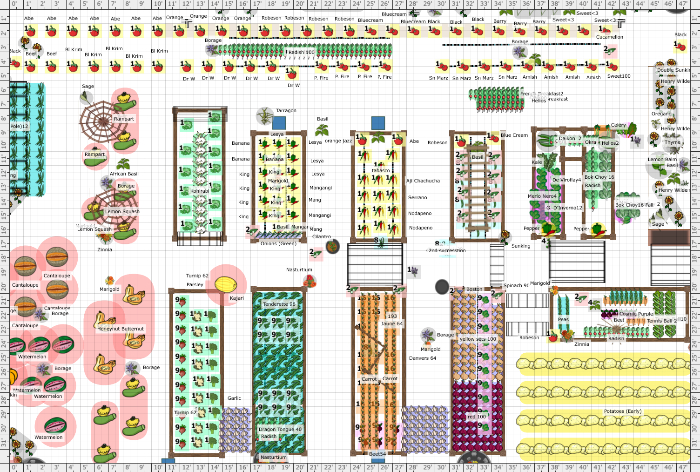 Garden Plan - 2022: FINAL DAD CASS 2022