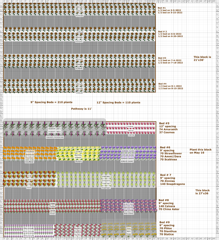 Garden Plan - 2022: Plot C, 2022