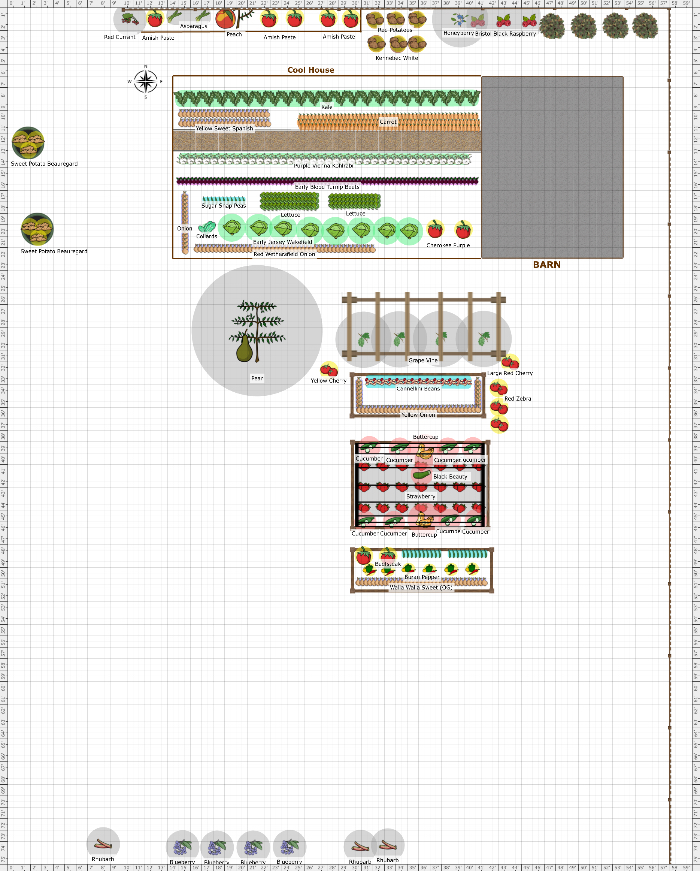 Garden Plan - 2022: New Plan