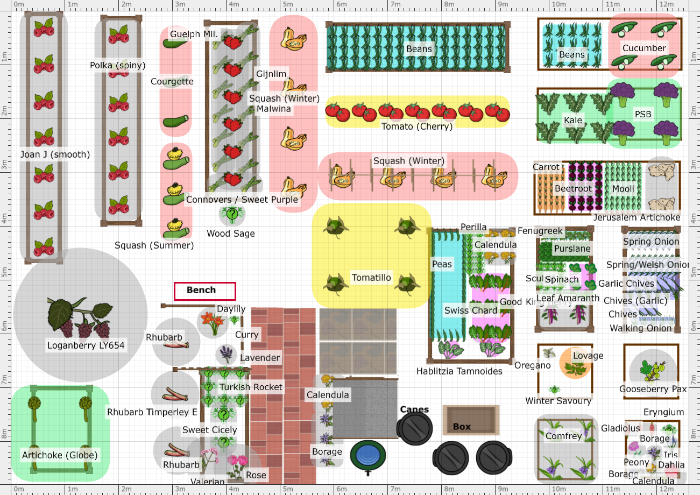 Garden Plan - 2023: Allotment