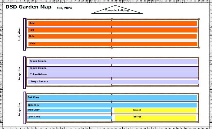 Garden Plan - 2012: DSD Garden Map