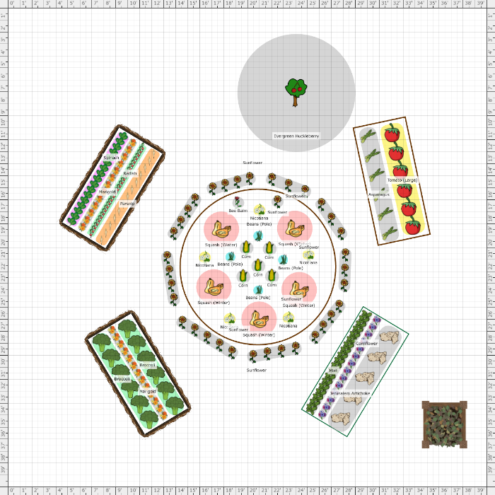 Garden Plan - Agro- Summer Year 1