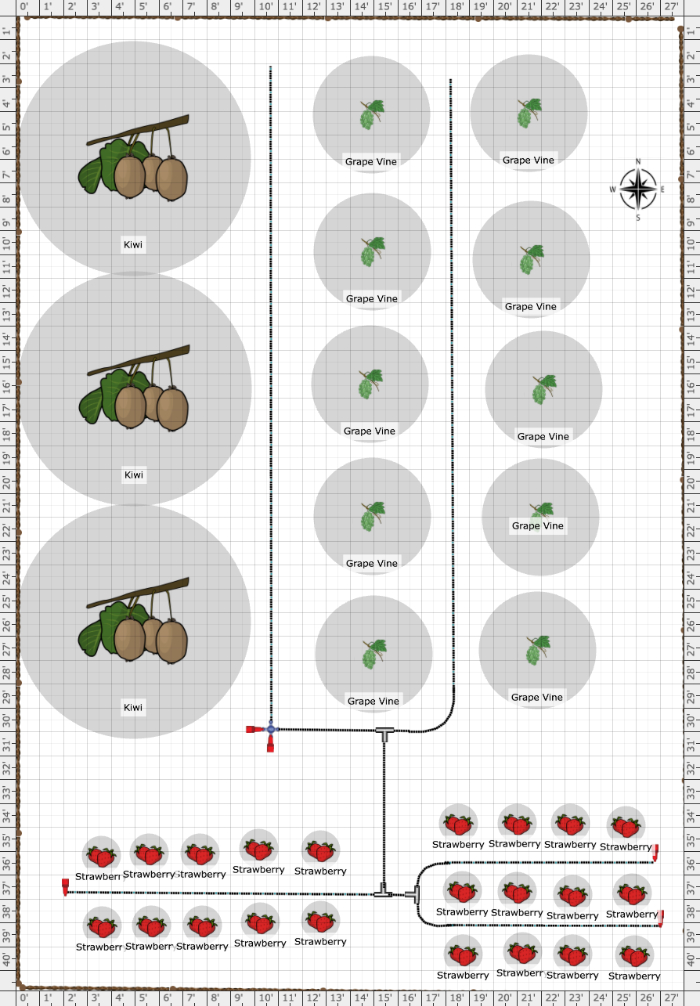Garden Plan - Fruit Orchard