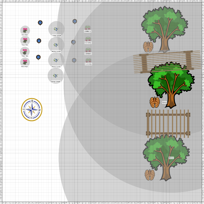Garden Plan - Jenkins fruit garden