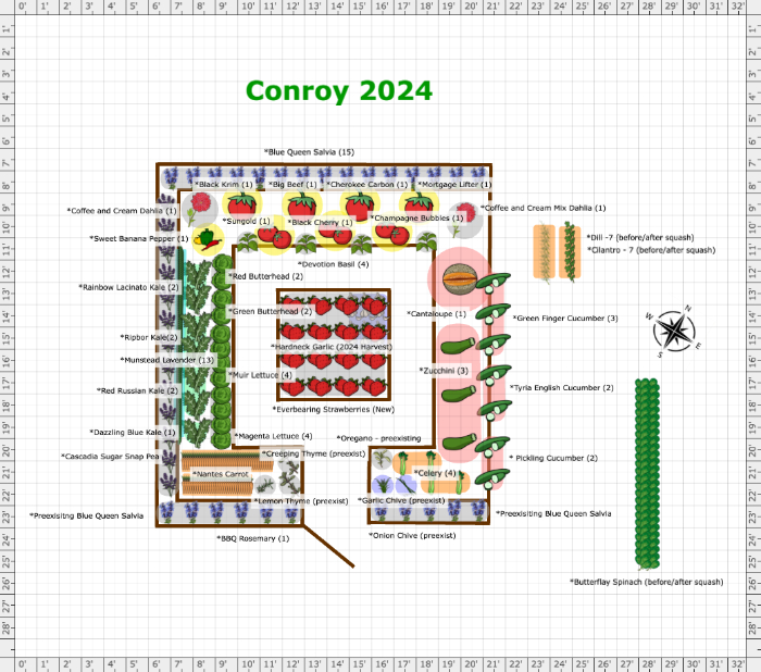 Garden Plan - 2024: Conroy