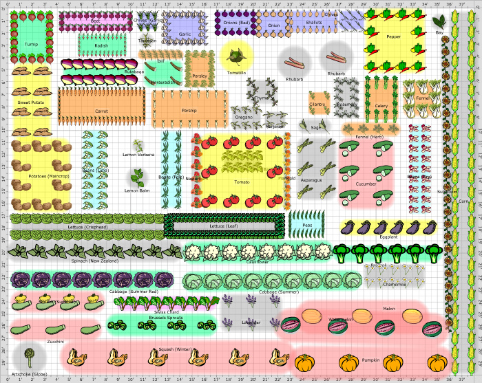 Garden Plan - 2012: Untitled2