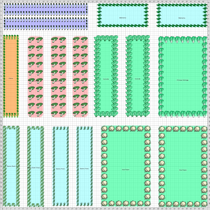 Garden Plan - 2012: Wheatley-Plot-3