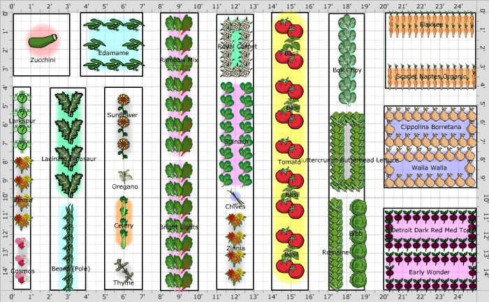 Garden Plan - Backyard Garden