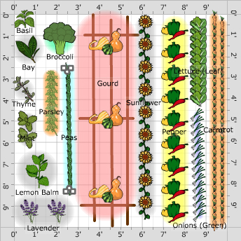 Garden Plan - Plot