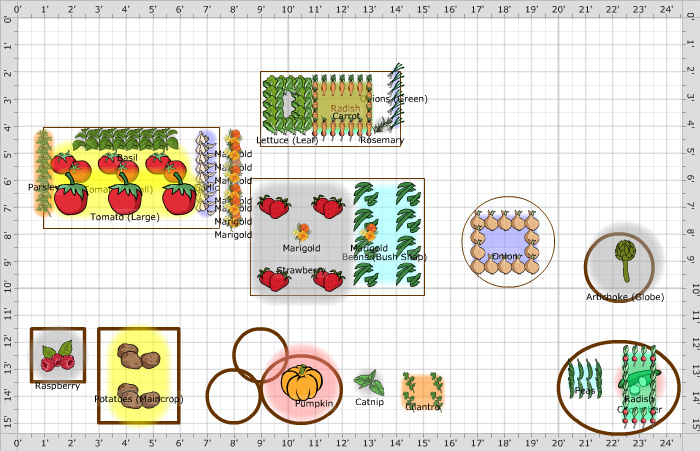 Garden Plan - Companion