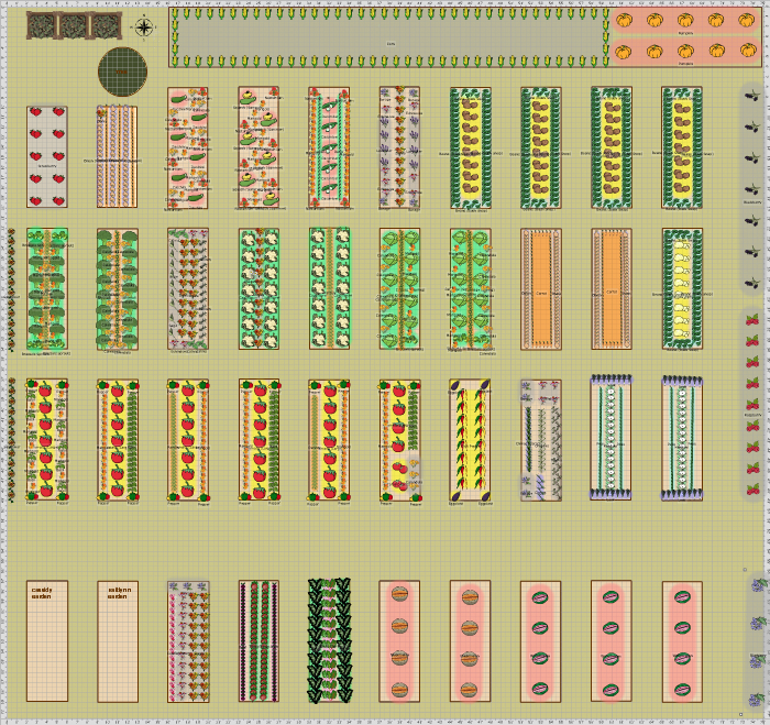 Garden Plan - Market garden