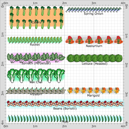 Garden Plan - 2014: College Plot