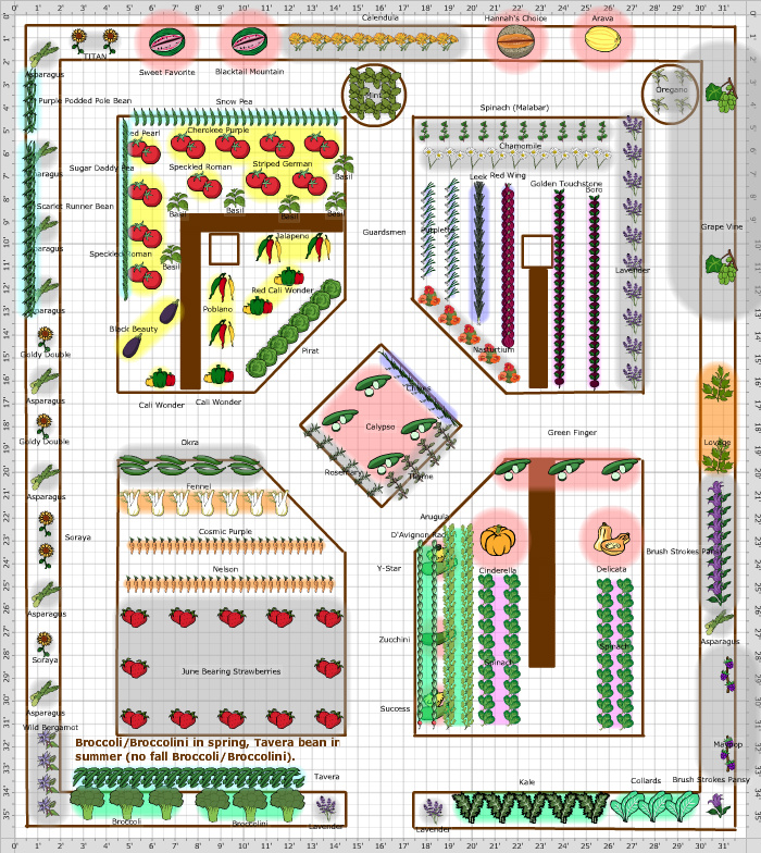 Garden Plan - 2014: Tarika