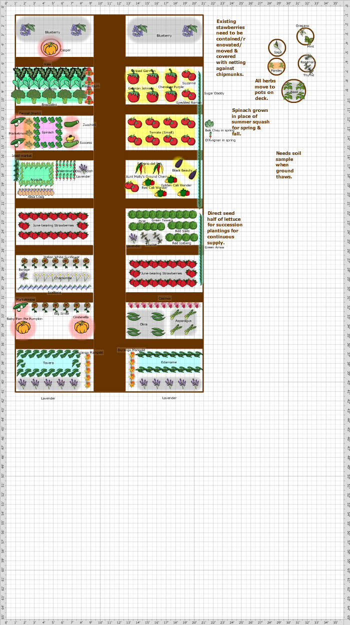 Garden Plan - 2014: Lazarus