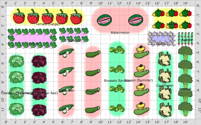 Garden Plan - 2014: First Garden