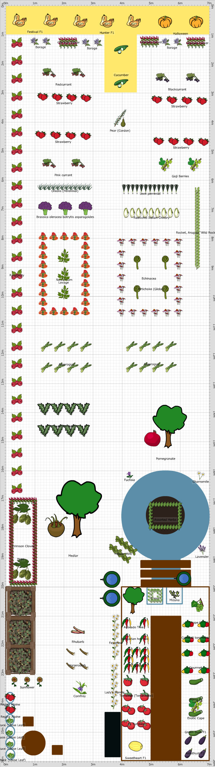 Garden Plan - 2015: Plot 64