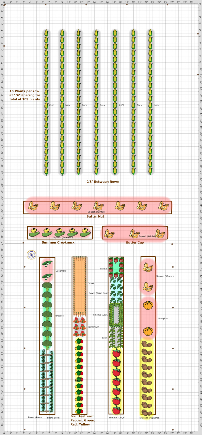 Garden Plan - 2015: Veg garden
