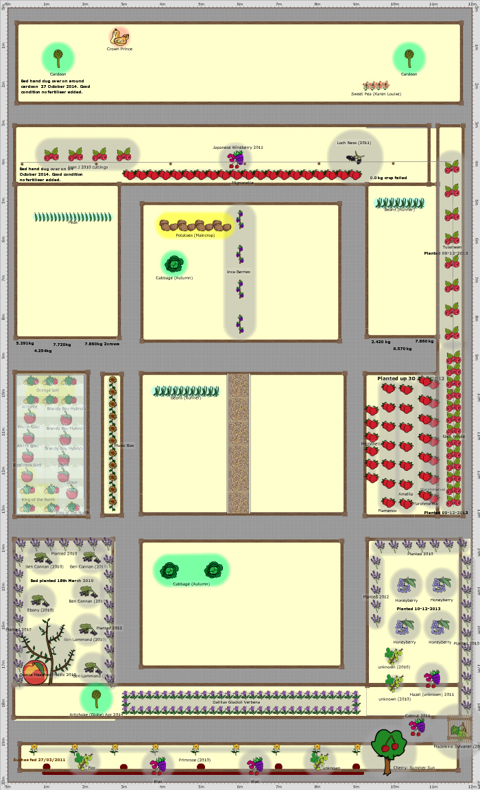 Garden Plan - 2015: Plot 41