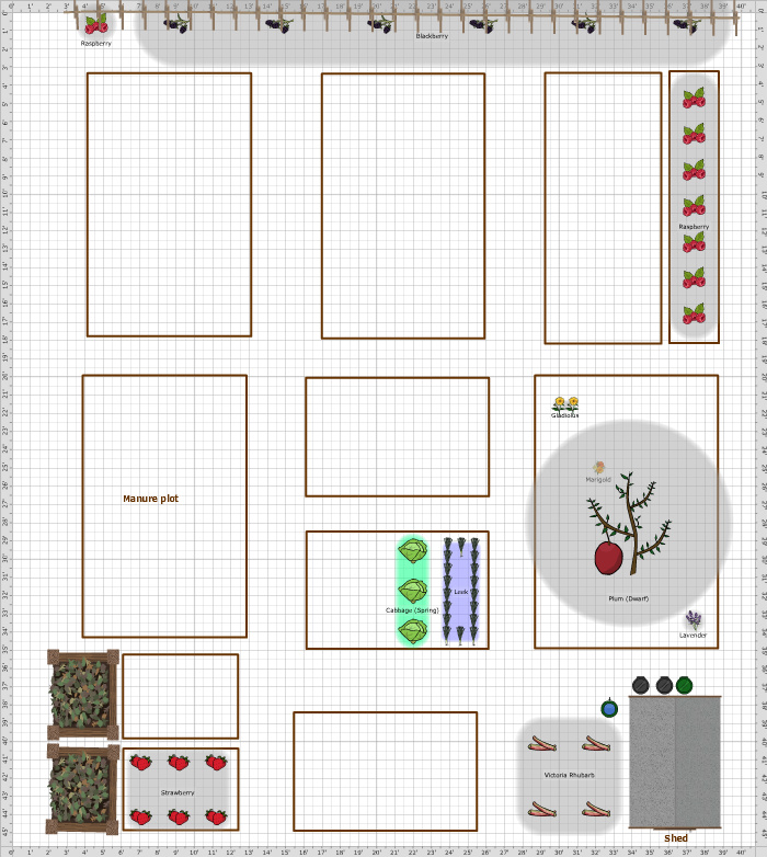Garden Plan - 2017: oasis snails and me