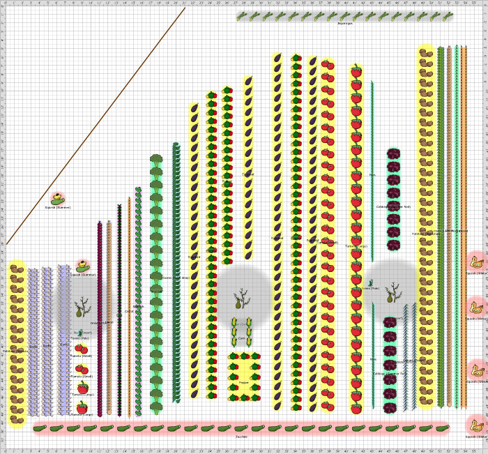 Garden Plan - 2016: GOODNESS16