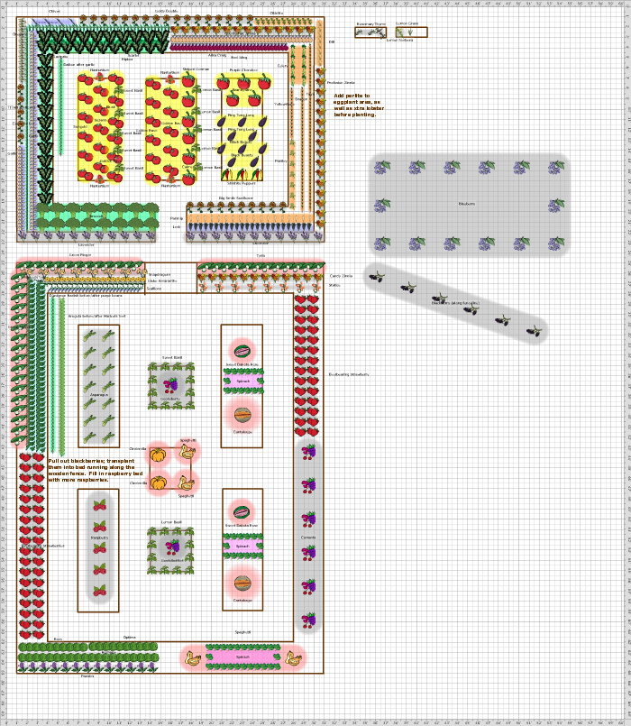 Garden Plan - 2016: Edelman