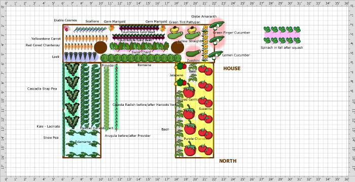 Garden Plan - 2016: Steitz