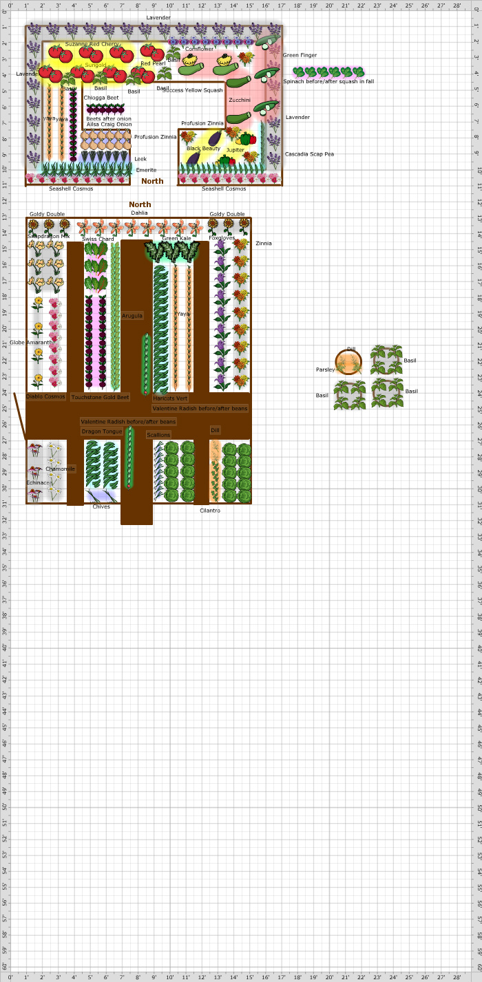 Garden Plan - 2017: Weinberg2