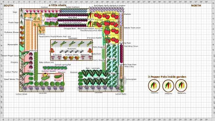 Garden Plan - 2017: Deane