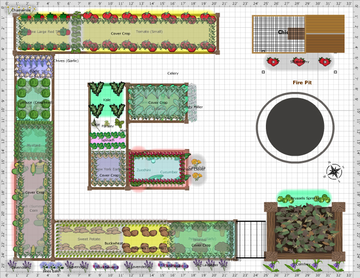 Garden Plan - 2017: Main Garden and duck enclosure