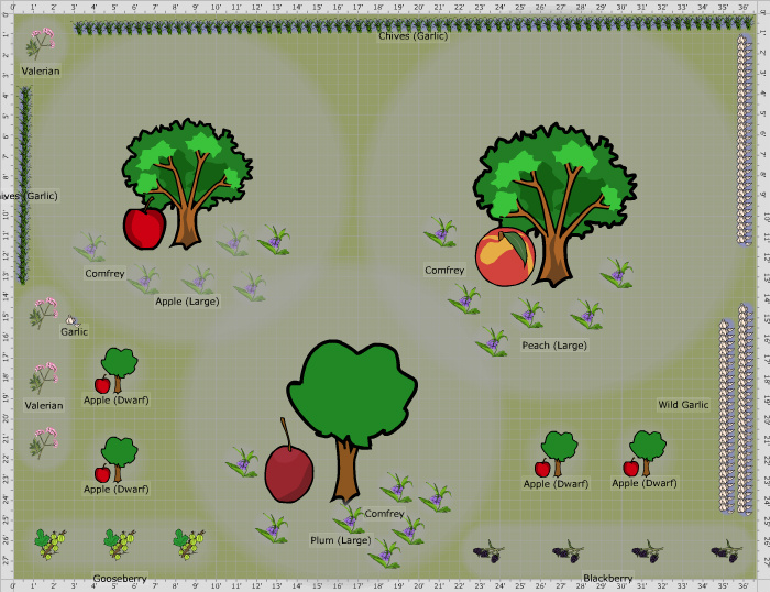 Garden Plan - Orchard