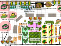 Garden Plans - Be Inspired by Other Gardeners' Garden Ideas