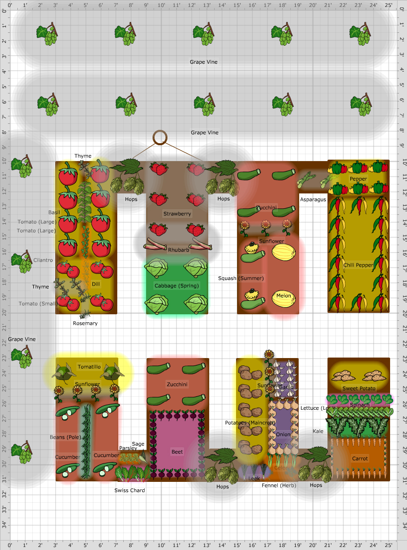 Garden Plan - 2019: Main