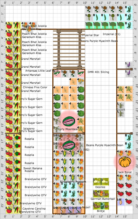 Garden Plan - 2020: Kitchen Garden