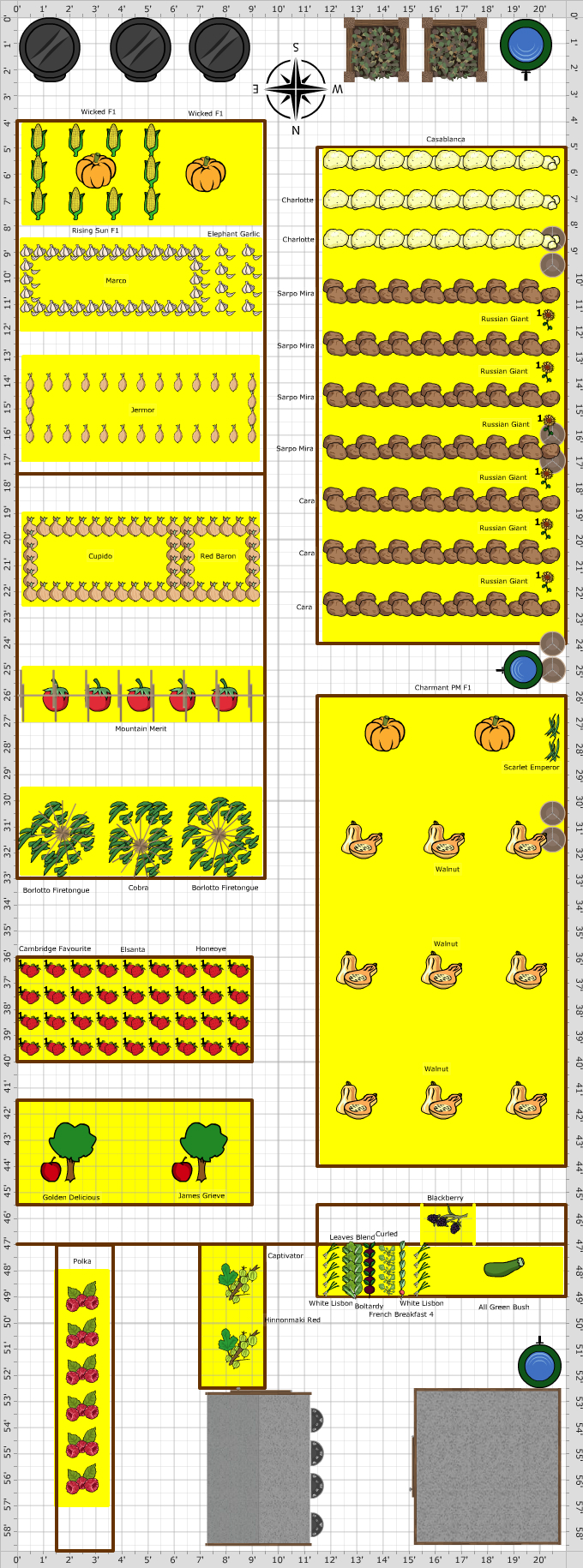Garden Plan - 2020: Plot 42B