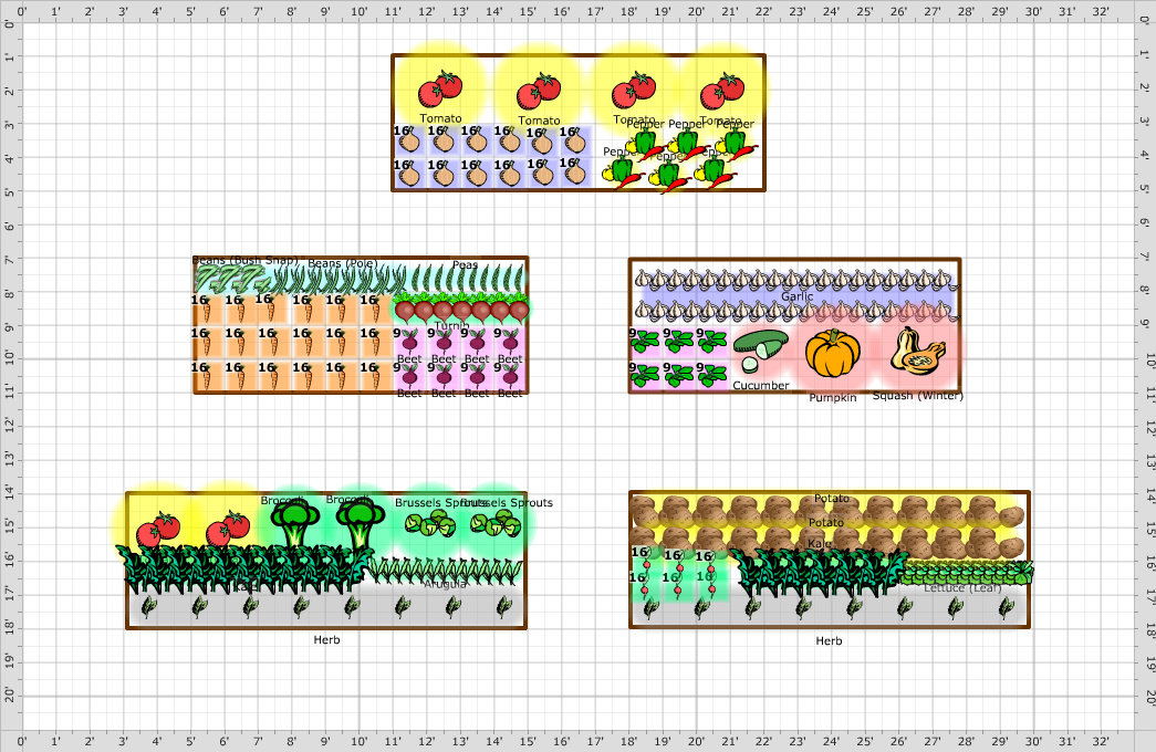 Garden Plan - 2011: The Garden