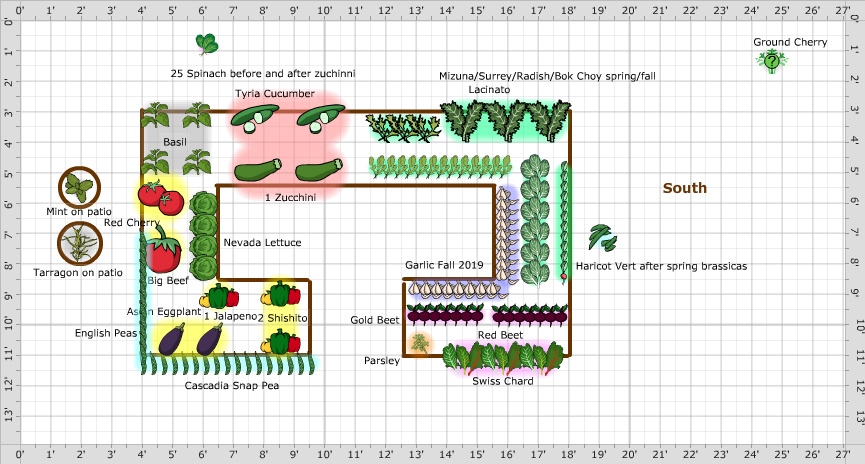 Garden Plan - 2020: Sharon Macey