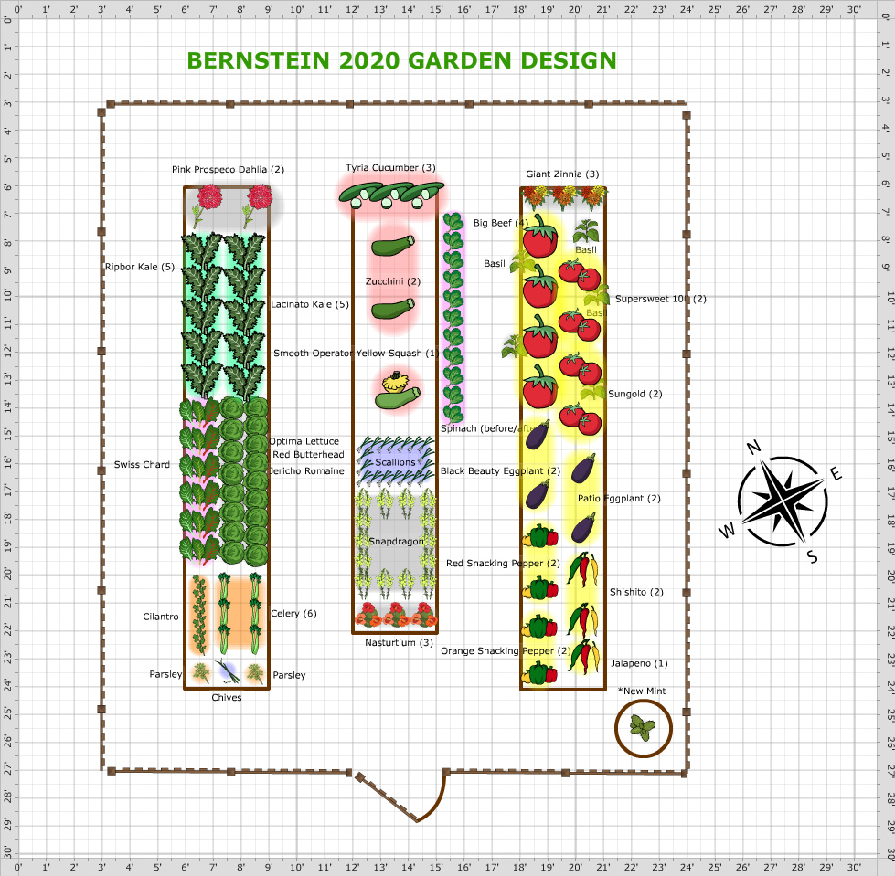 Garden Plan - 2020: Bernstein, Lauren