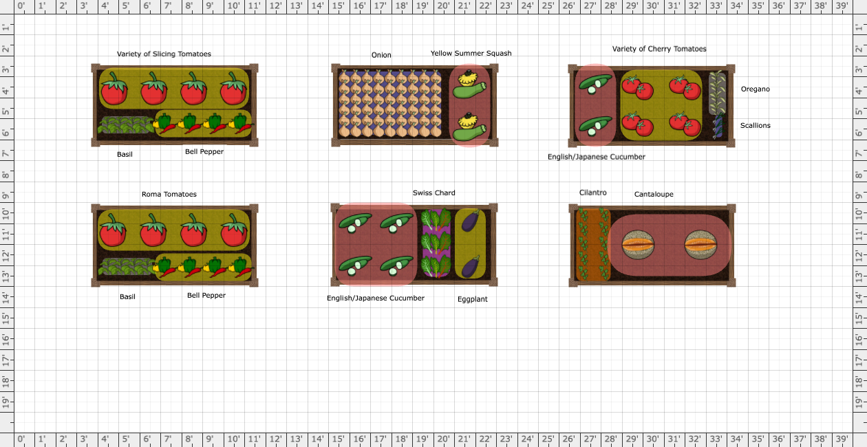 Garden Plan - 2025: Patty Montgomery