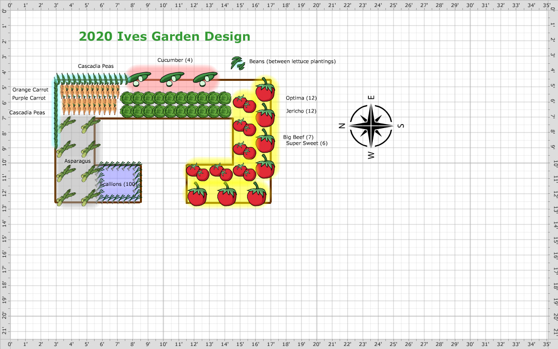 Garden Plan - 2020: Ives, Louisa
