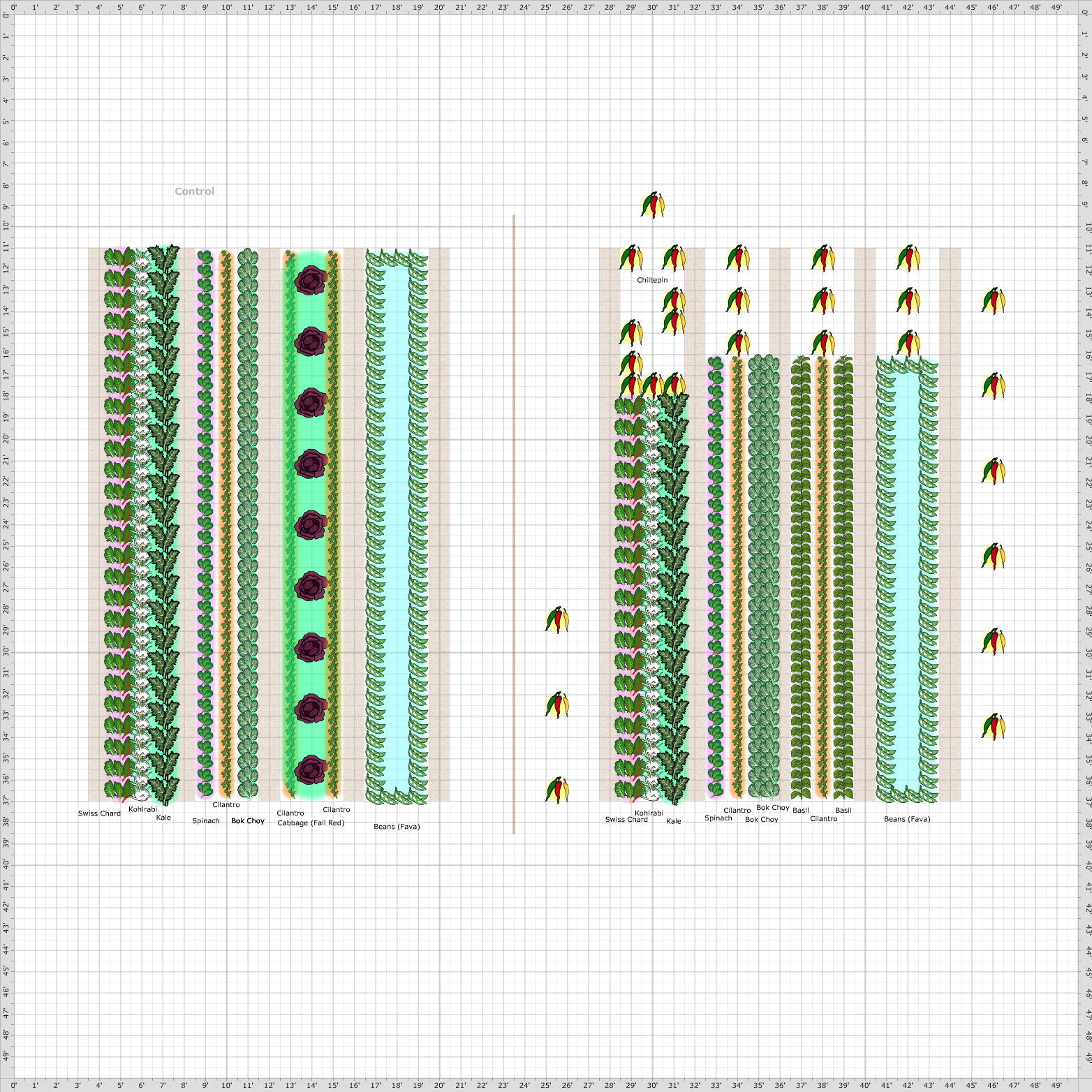 Garden Plan - 2020: Manzo