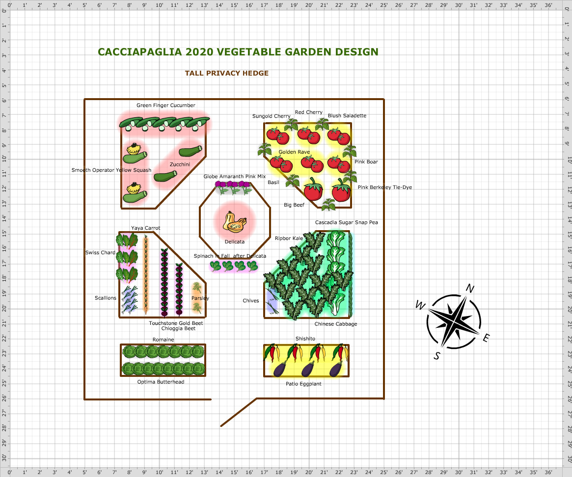 Garden Plan - 2020: Cacciapaglia