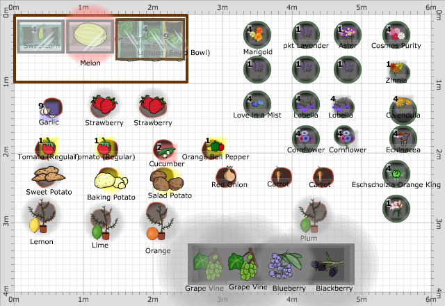 Garden Plan - 2020: GH and CF