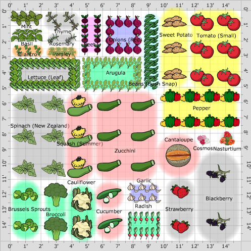 Garden Plan - 2020: Rose Roots Garden