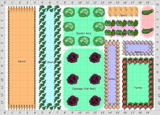Garden Plan - 2020: Main Garden