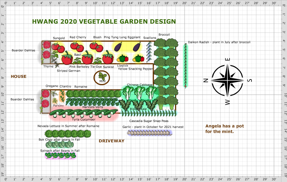 Garden Plan - 2020: Hwang